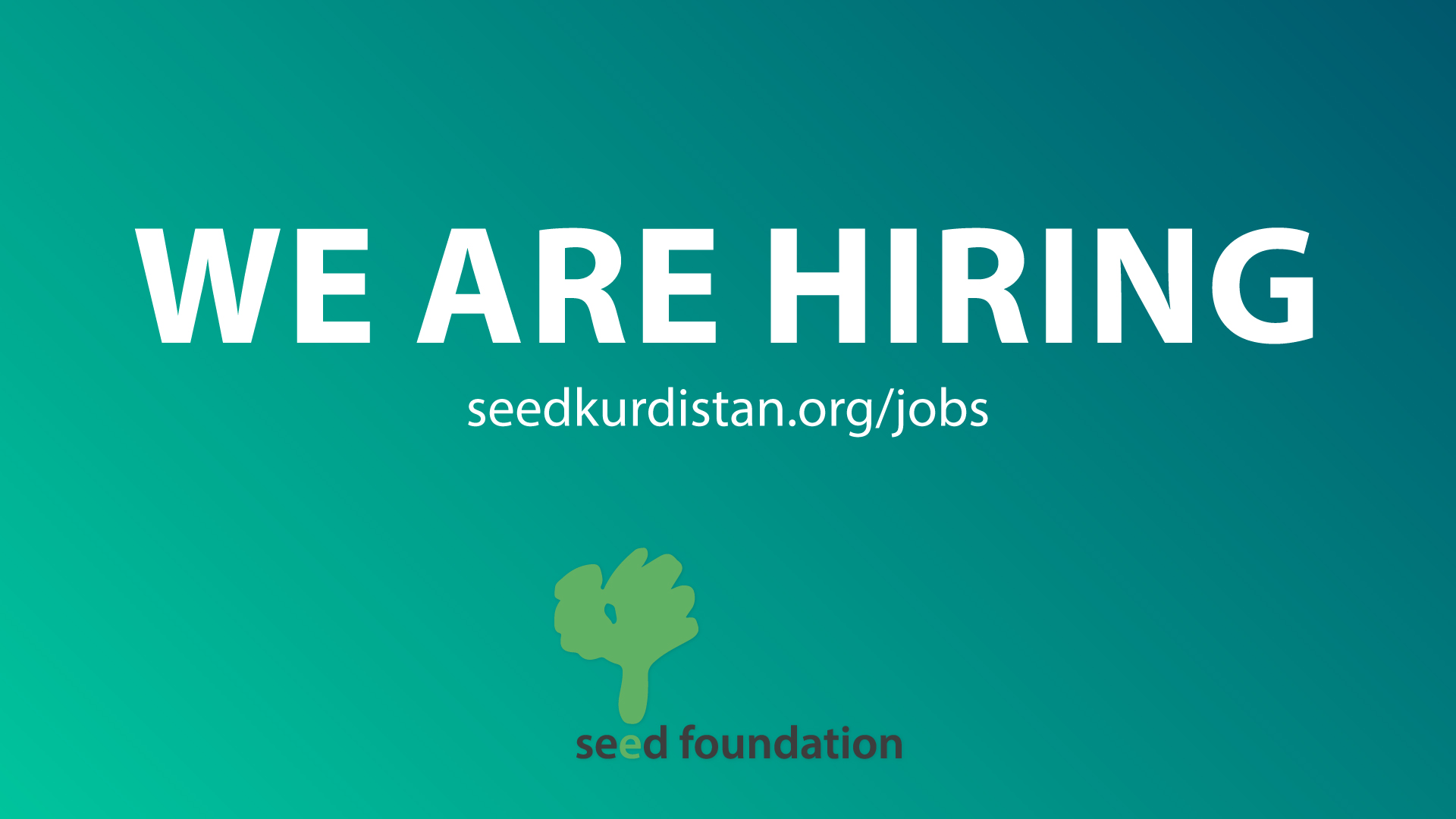 Jobs – SEED Foundation – Kurdistan